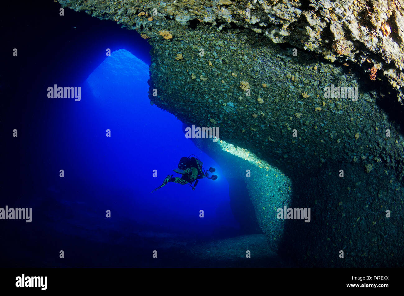 Billinghurst Cave and scuba diver, Gozo, Malta, South Europe ...