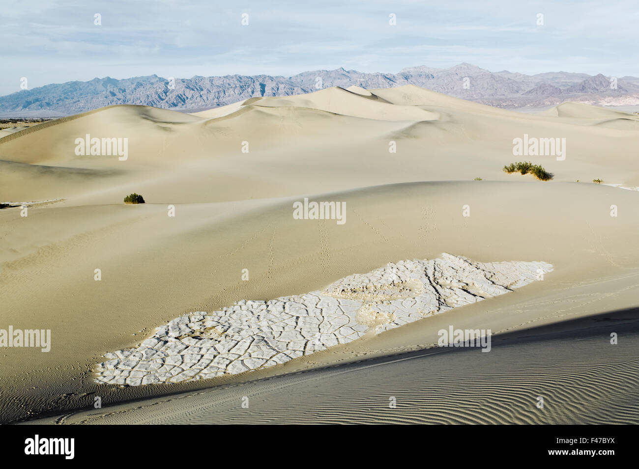 Desert beige hi-res stock photography and images - Alamy