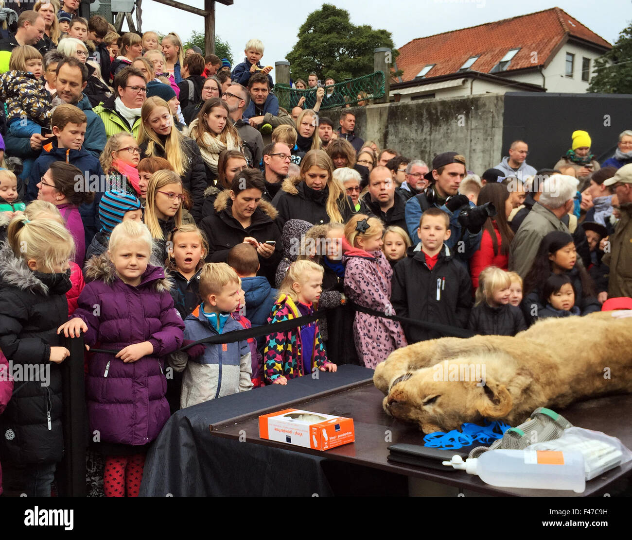 Children with a lion hi-res stock photography and images - Alamy