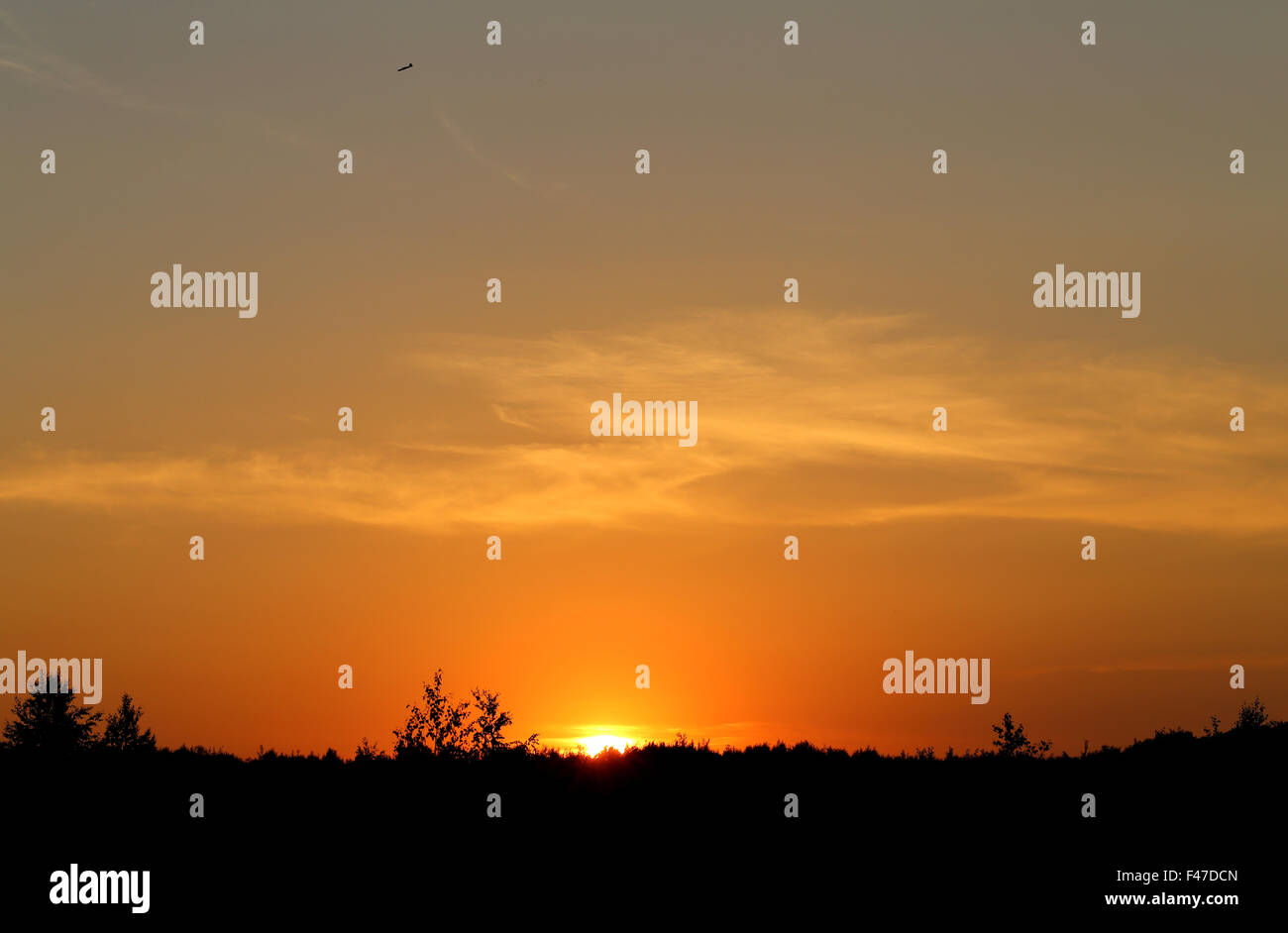 Beautiful sunset with bright light in rustic field Stock Photo - Alamy