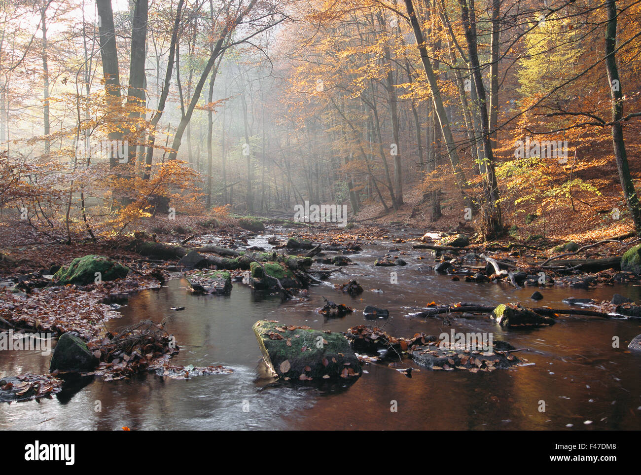 Soderasens national park hi-res stock photography and images - Alamy