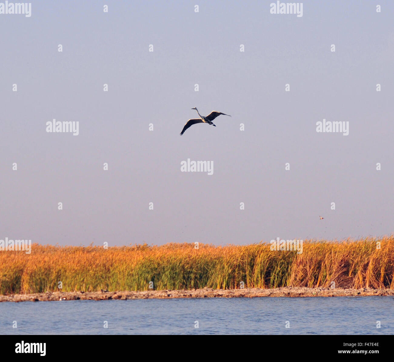 Banyan Nur, China's Inner Mongolia Autonomous Region. 15th Oct, 2015. A ...