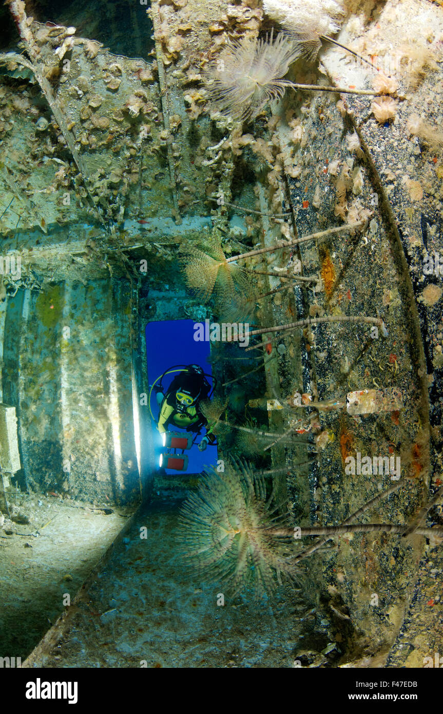 German diver hi-res stock photography and images - Alamy