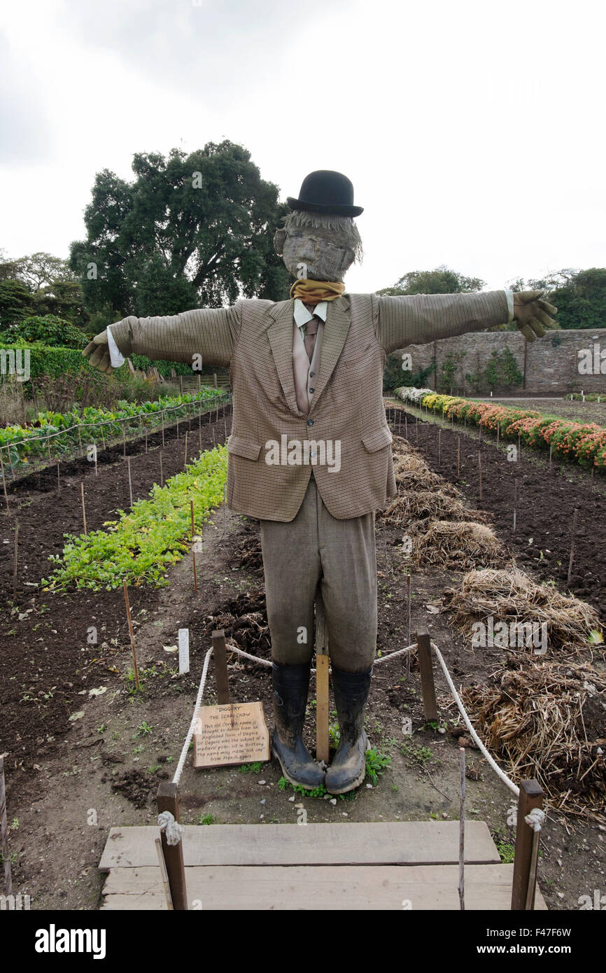 Diggory the resident scarecrow in the vegetable garden at The Lost ...