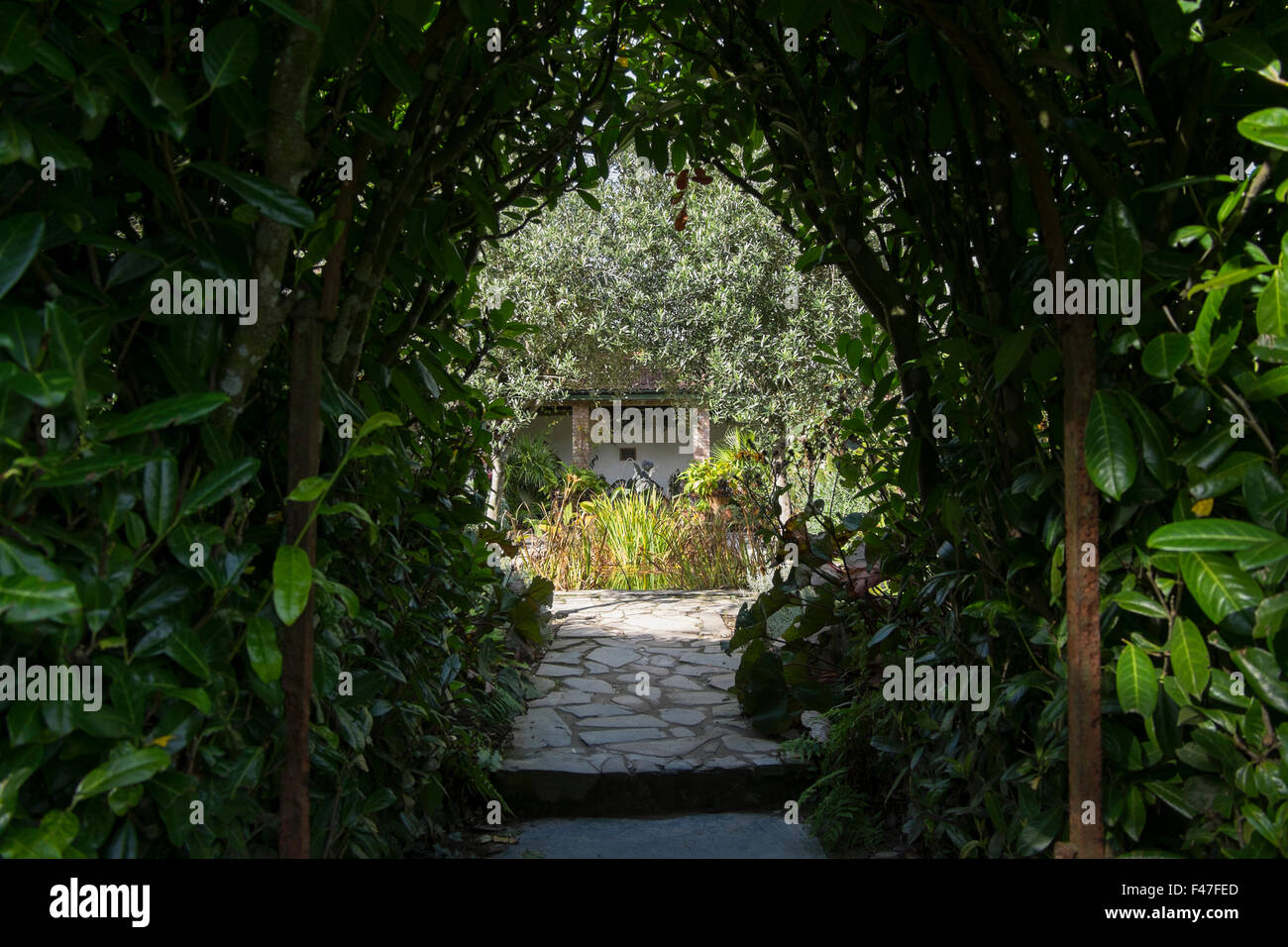 Laurel arch into the The Italian Garden at The Lost Gardens of Heligan ...