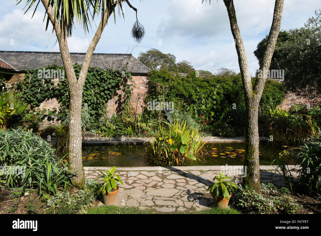Heligan Estate High Resolution Stock Photography and Images - Alamy