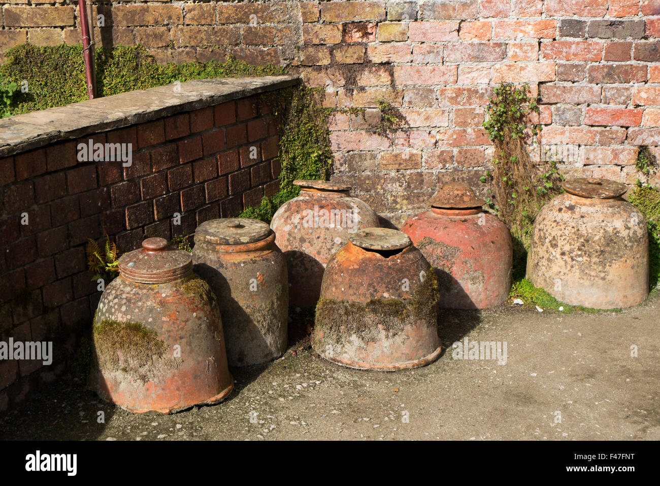 Terracotta rhubarb forcer pots in the Flower Garden at The Lost Gardens ...