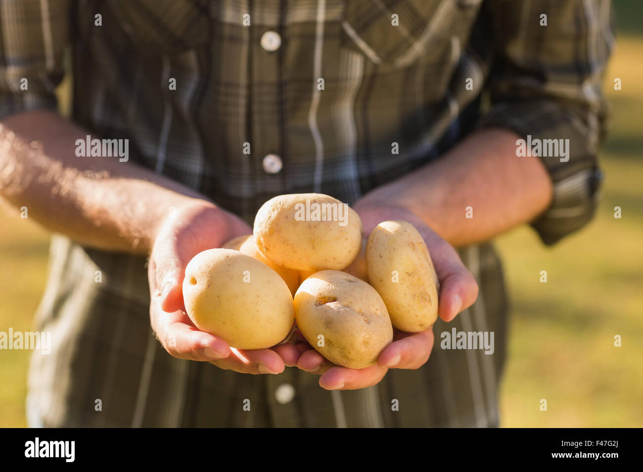 Man holding some potatoes Stock Photo - Alamy
