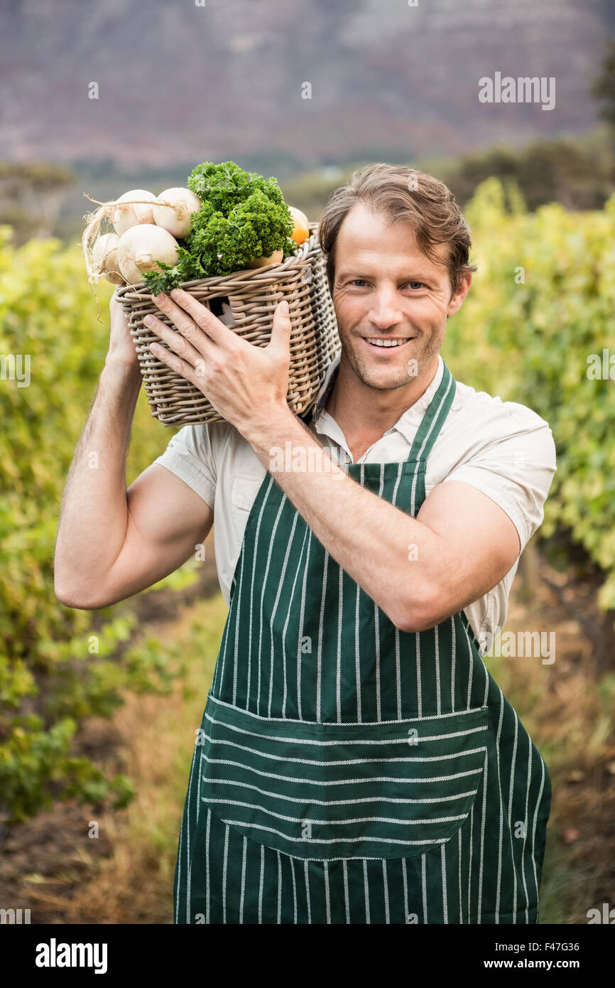 Farmer hands holding basket vegetables hi-res stock photography and ...