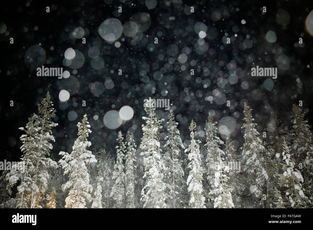 Midwinter night hi-res stock photography and images - Alamy