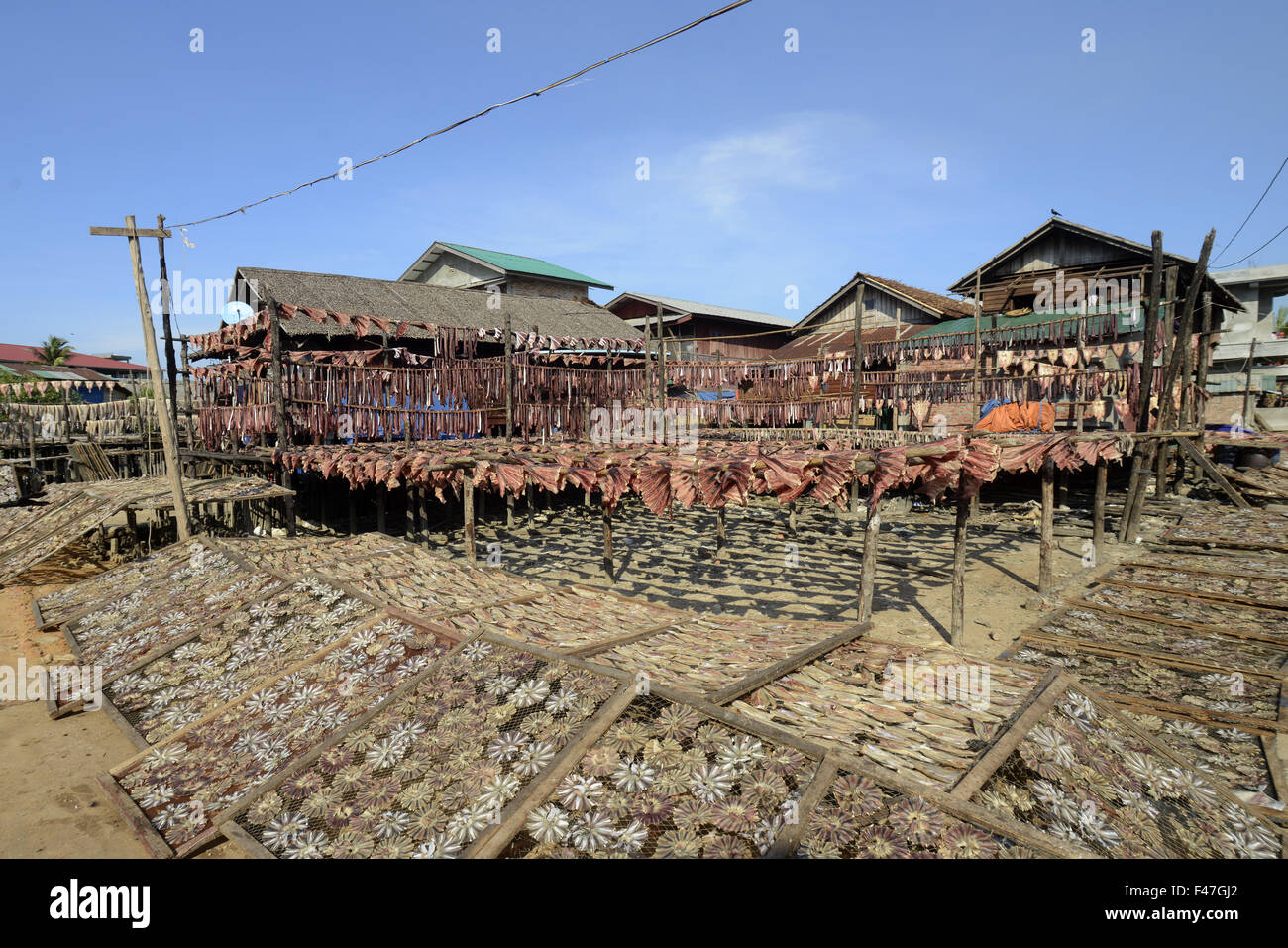 South asian dry fish hi-res stock photography and images - Alamy