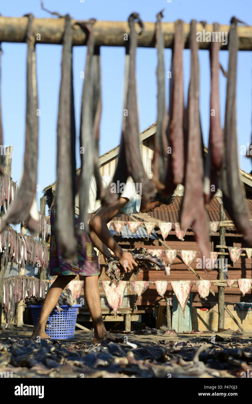 South asian dry fish hi-res stock photography and images - Alamy
