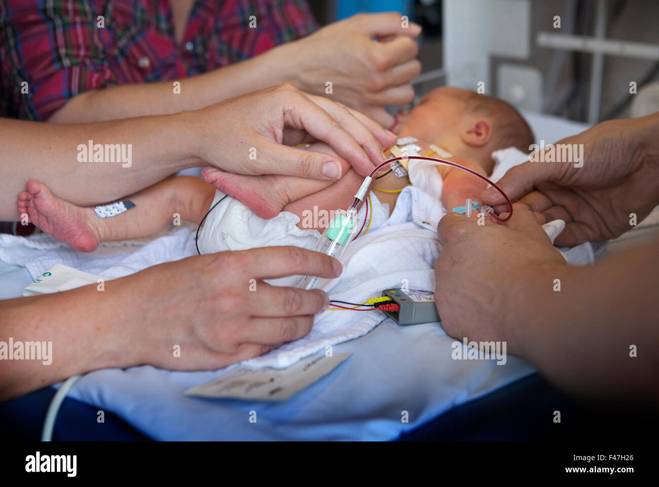 Blood specimen boy hi-res stock photography and images - Alamy