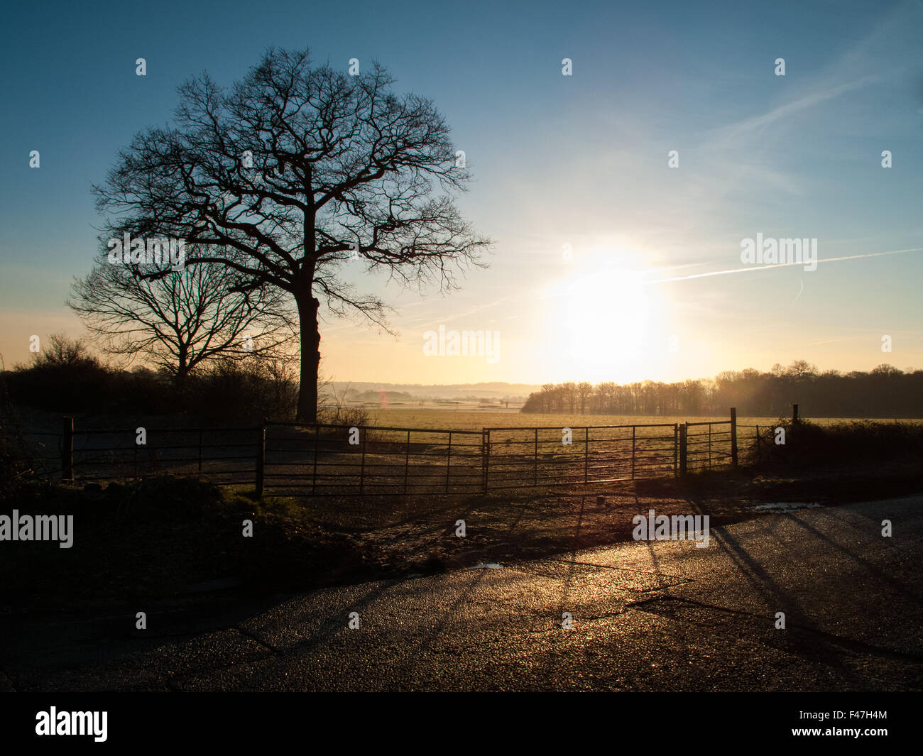 A cold frosty winters morning, with weak sunshine and a clear blue sky ...