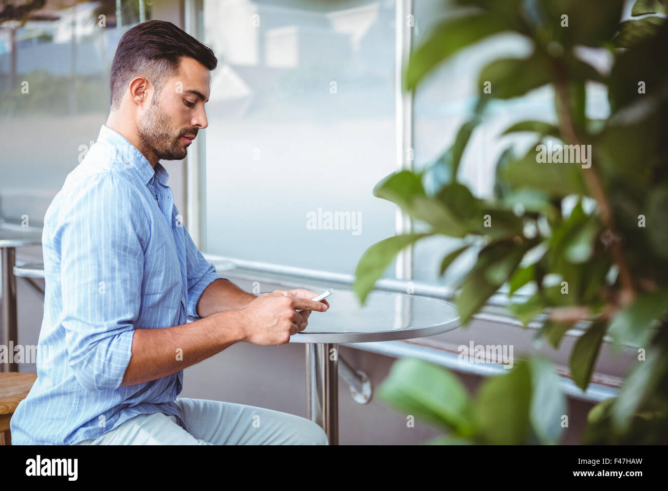 Attentive businessman sending text message Stock Photo - Alamy