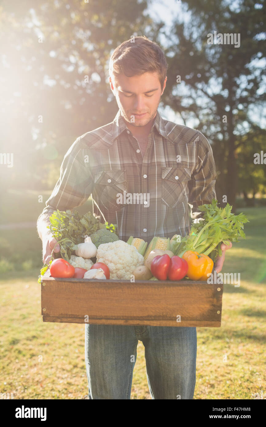 Handsome man carrying box of vegetables Stock Photo - Alamy