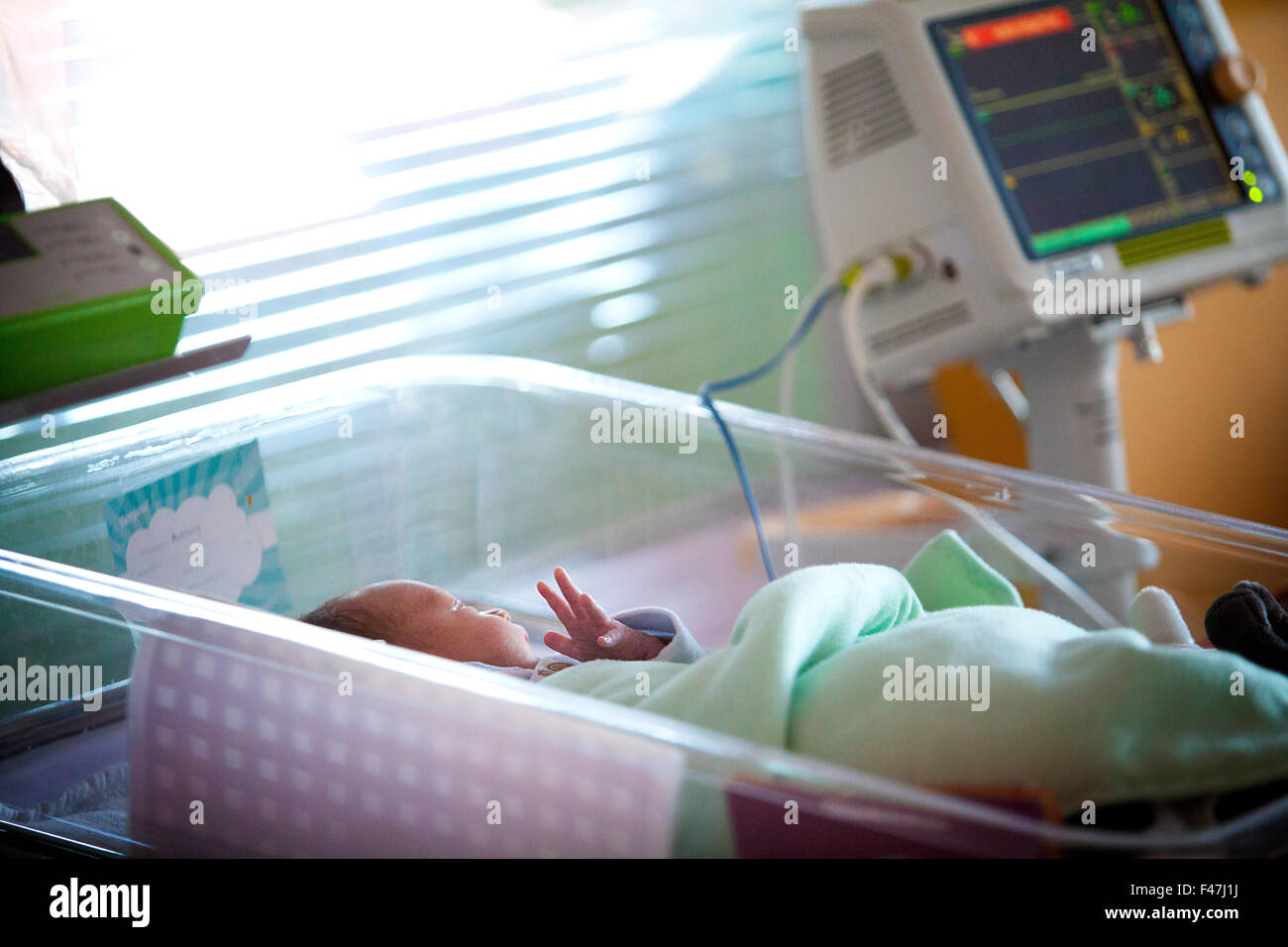 Preemie babies hi-res stock photography and images - Alamy
