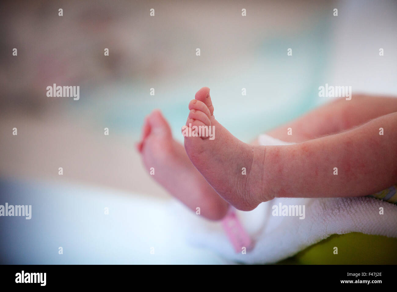 Premature baby feet hi-res stock photography and images - Alamy
