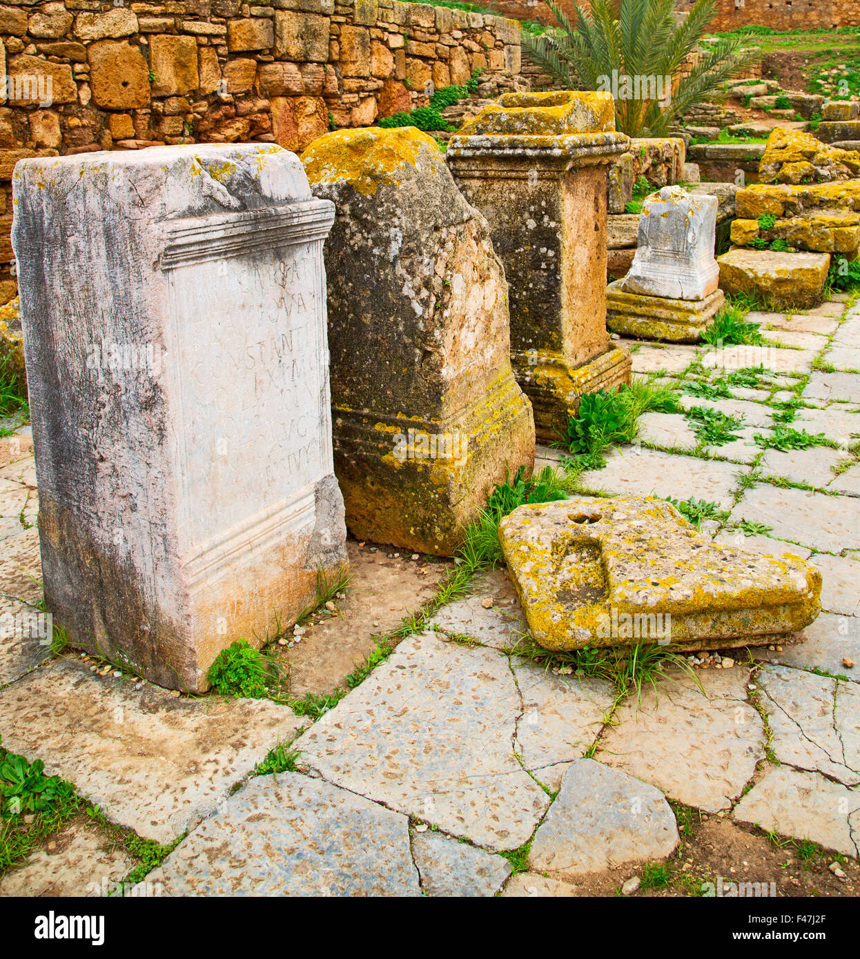 chellah in morocco africa the old roman deteriorated monument and site ...