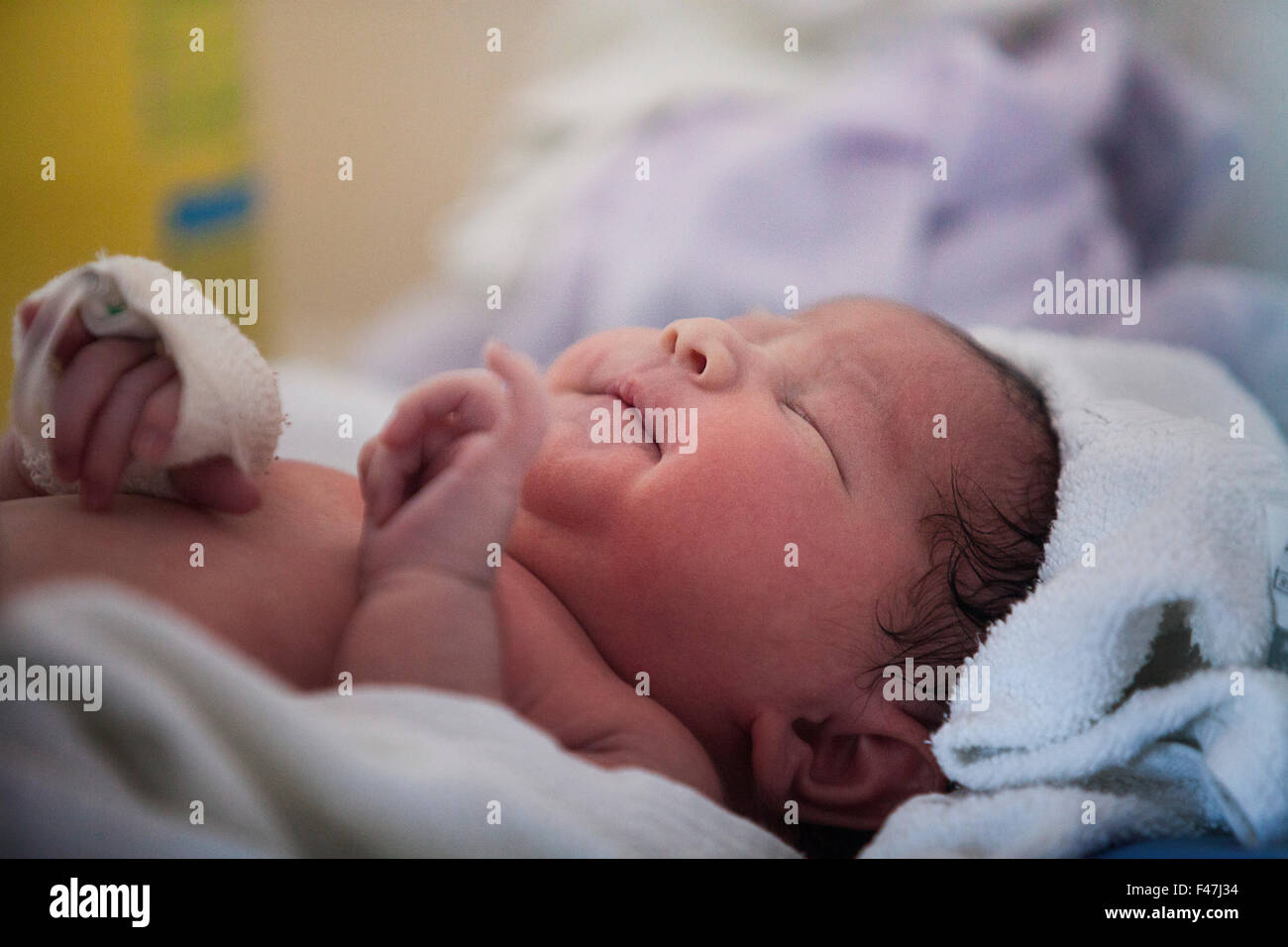 Amniotic Fluid High Resolution Stock Photography and Images - Alamy