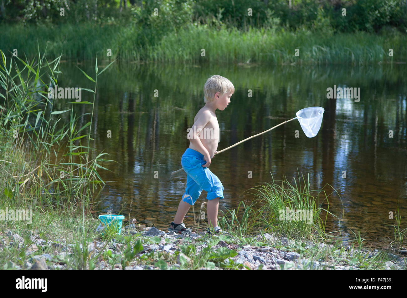 A boy playing with a butterfly-net, Sweden Stock Photo - Alamy