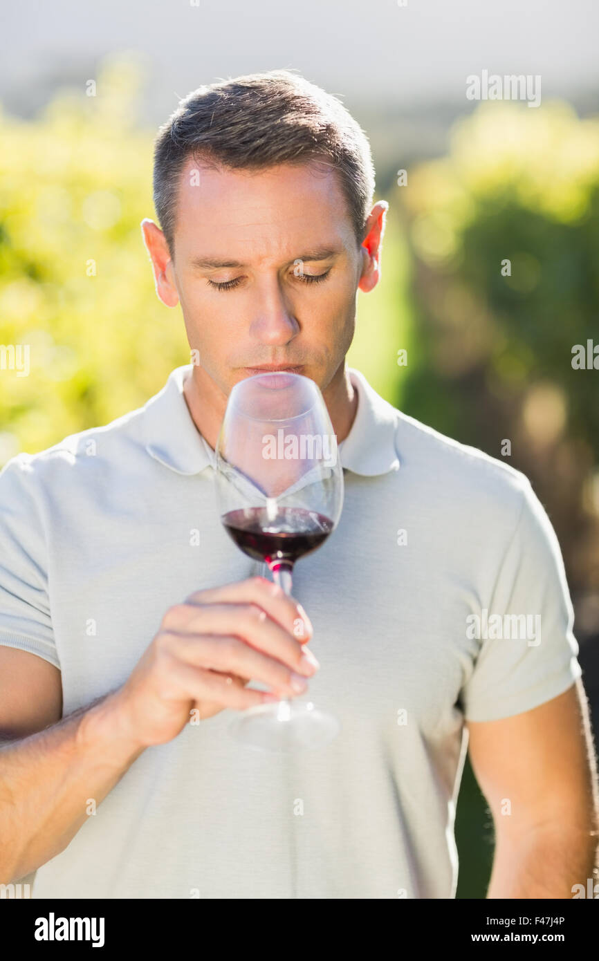Man doing wine tasting in front of grapevine Stock Photo - Alamy