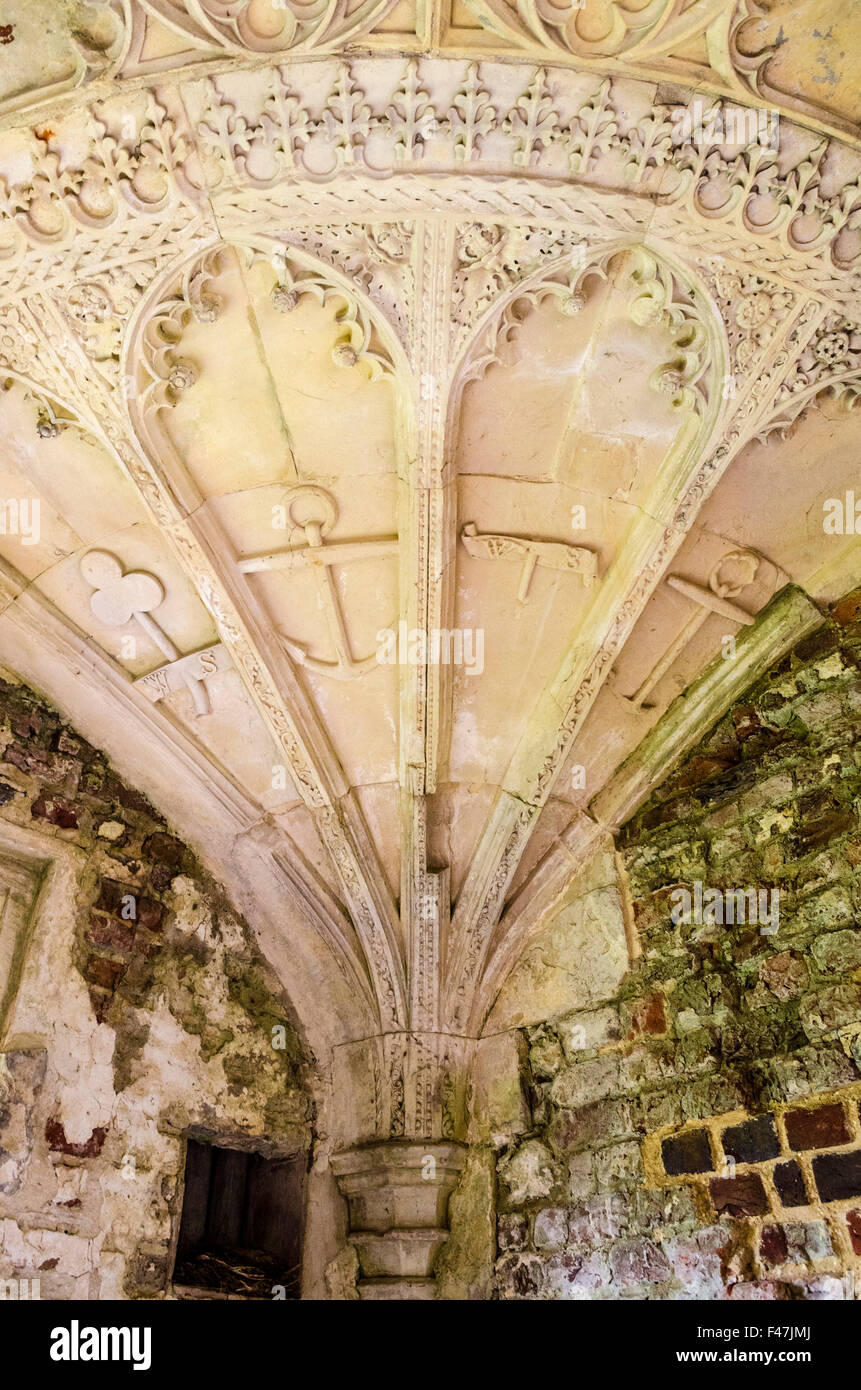 Surviving ornate ceiling in the ruins of the 16th century Cowdray House ...