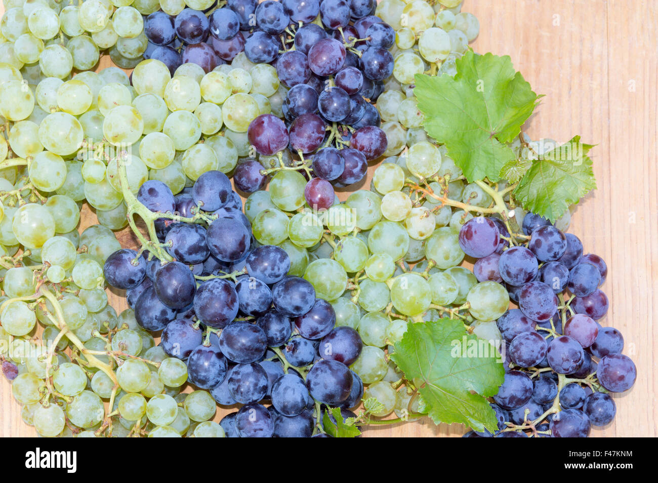 Grapes background purple hi-res stock photography and images - Alamy