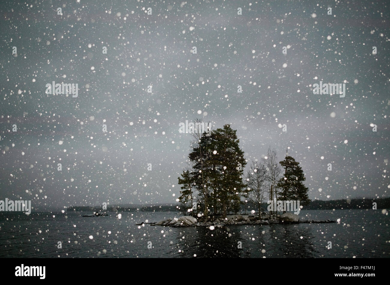 A small island in a lake with snowfall, Sweden Stock Photo - Alamy