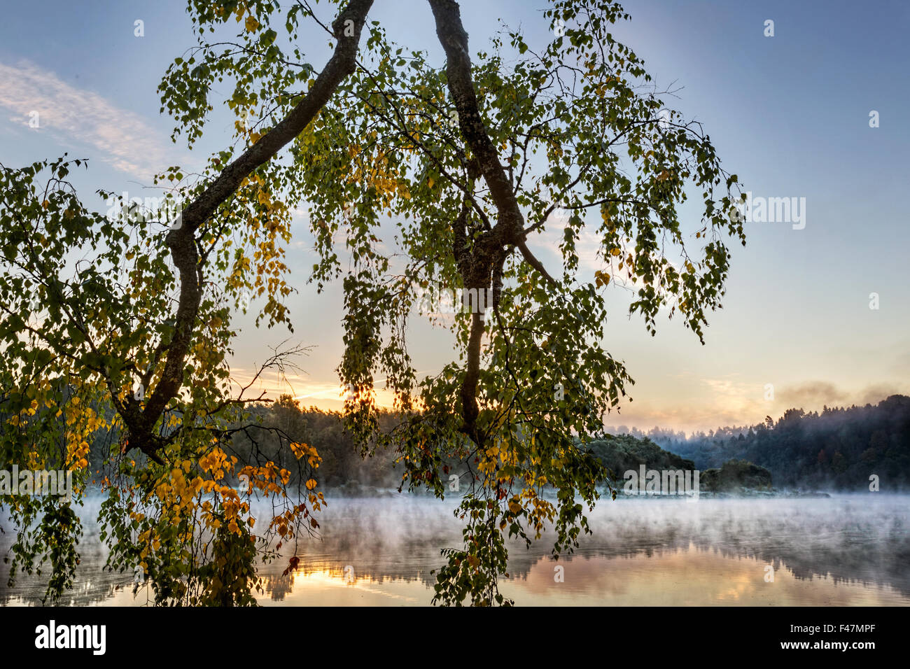 Adirondack morning mist hi-res stock photography and images - Alamy