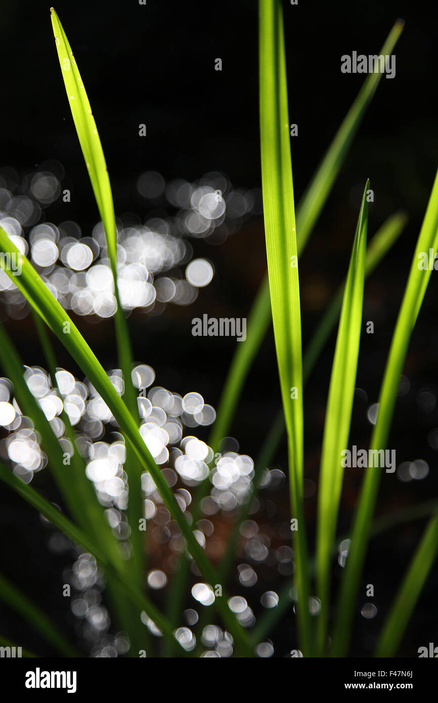 Light blades hi-res stock photography and images - Alamy