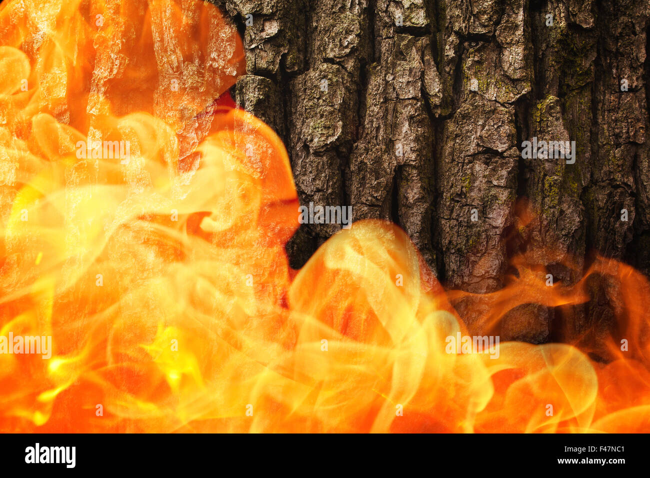 Composite image of fire Stock Photo - Alamy