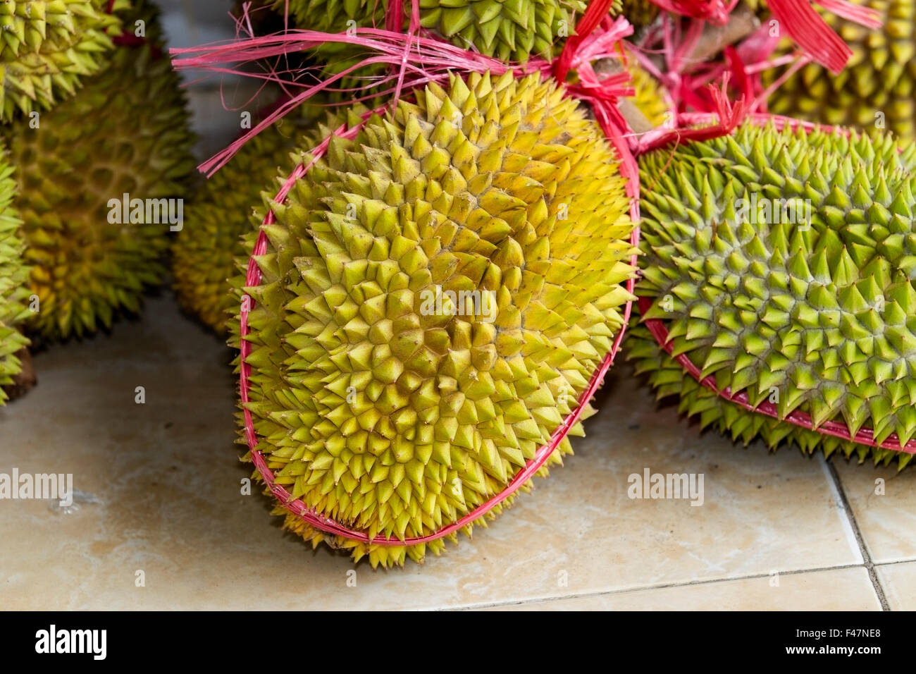 Durian seeds hi-res stock photography and images - Alamy Durian seeds hi-res stock photography and images - Alamy