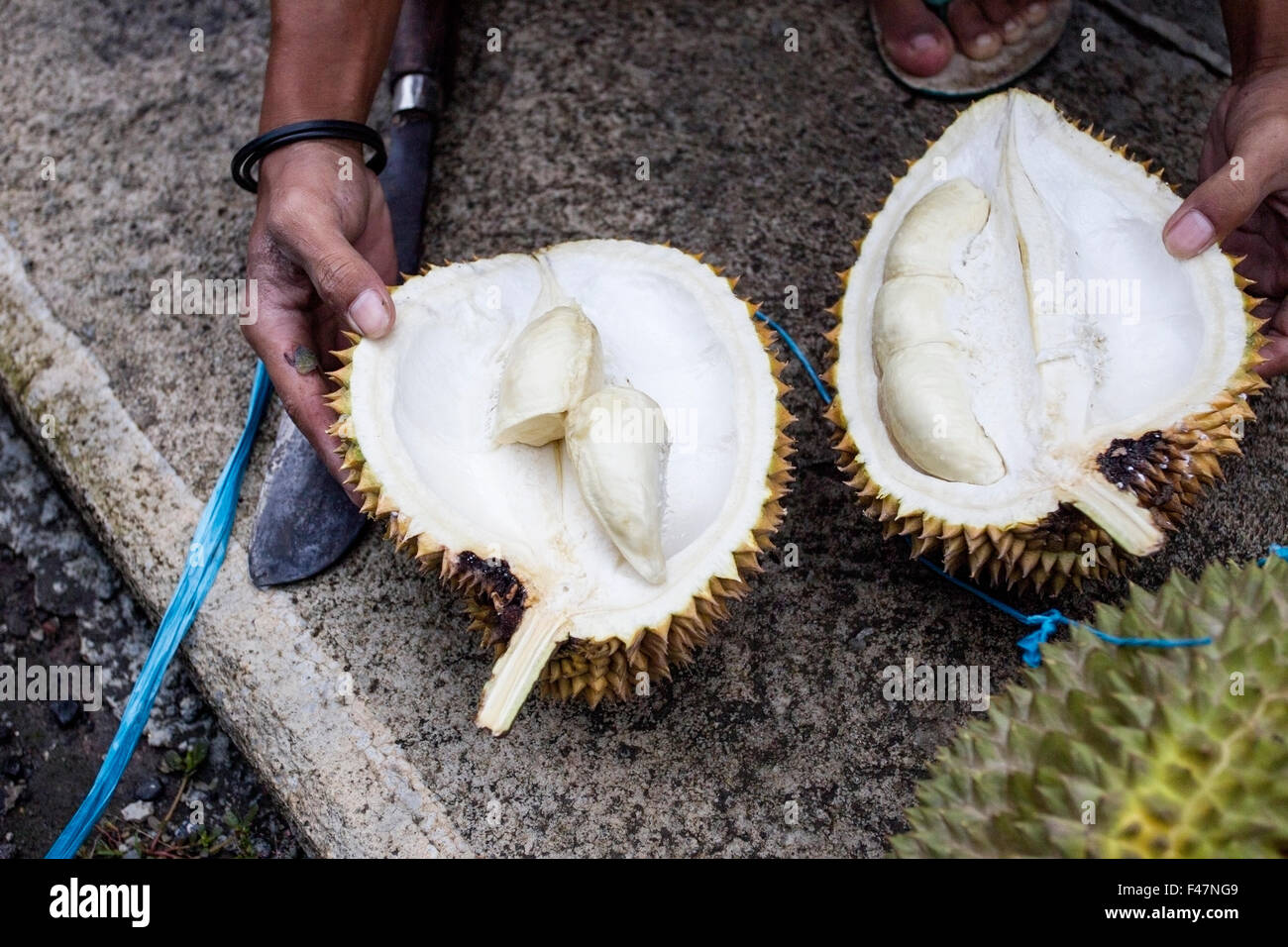 Image of the Durian fruit in South East Asia Stock Photo - Alamy