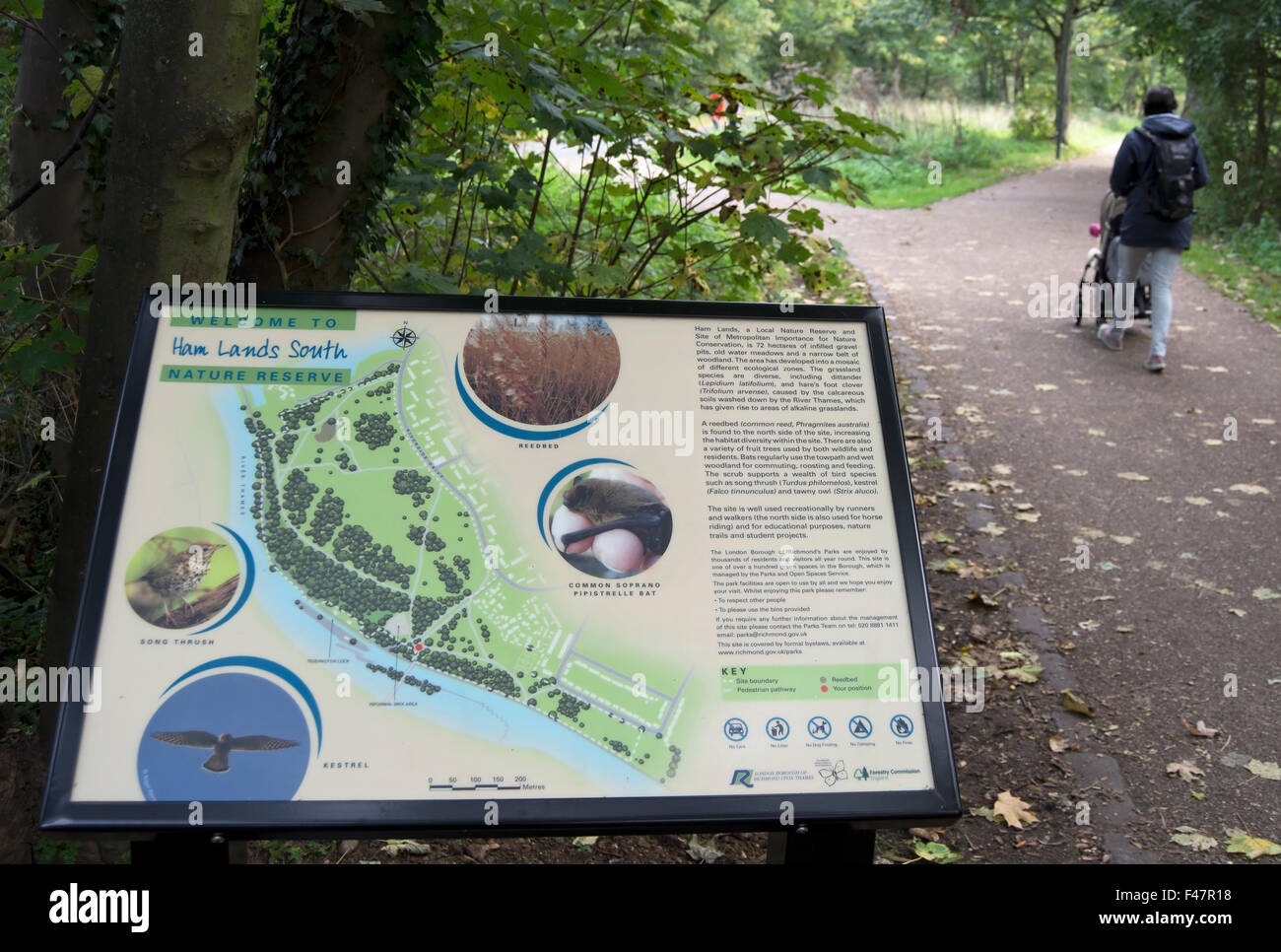 Ham lands south hi-res stock photography and images - Alamy