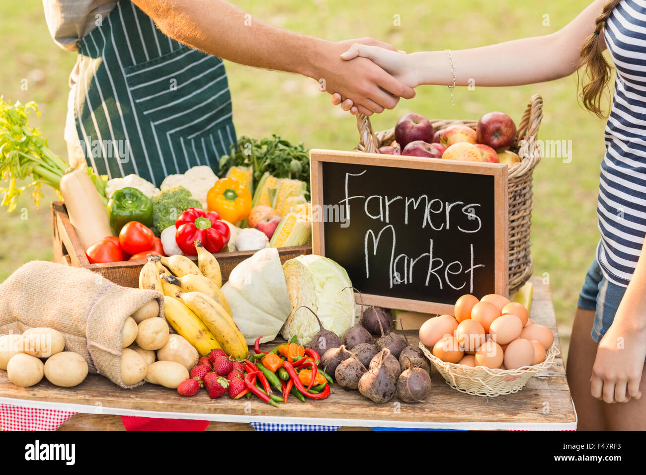 Farmer shaking his customers hand Stock Photo - Alamy