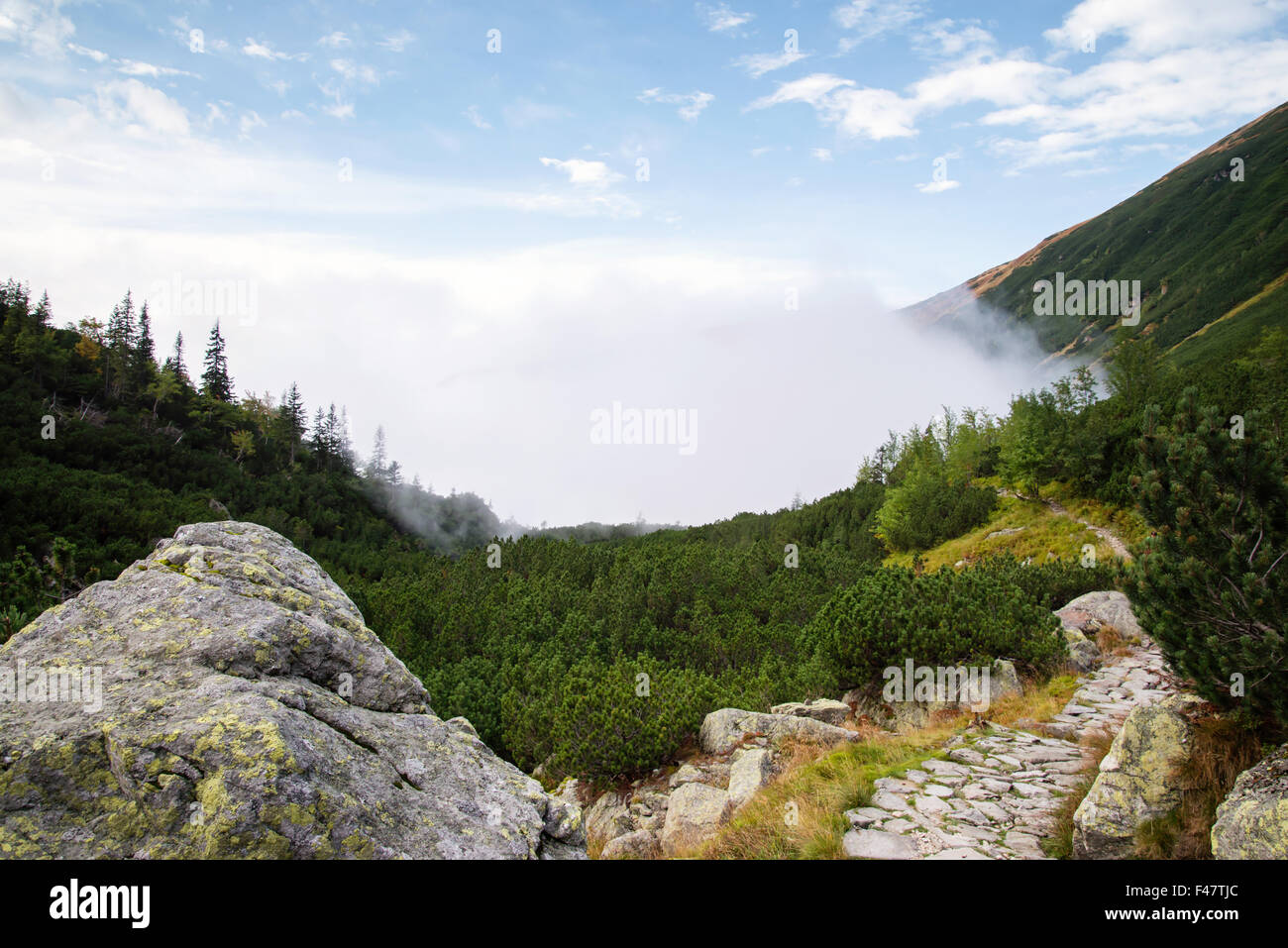 road to Tatra mountains Stock Photo - Alamy