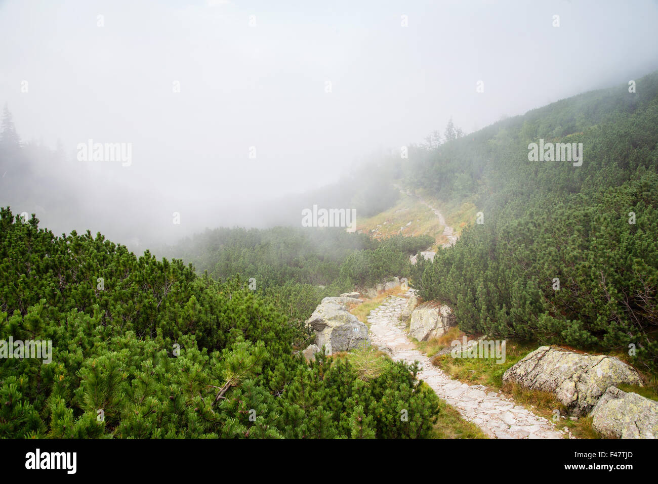 road to Tatra mountains Stock Photo - Alamy