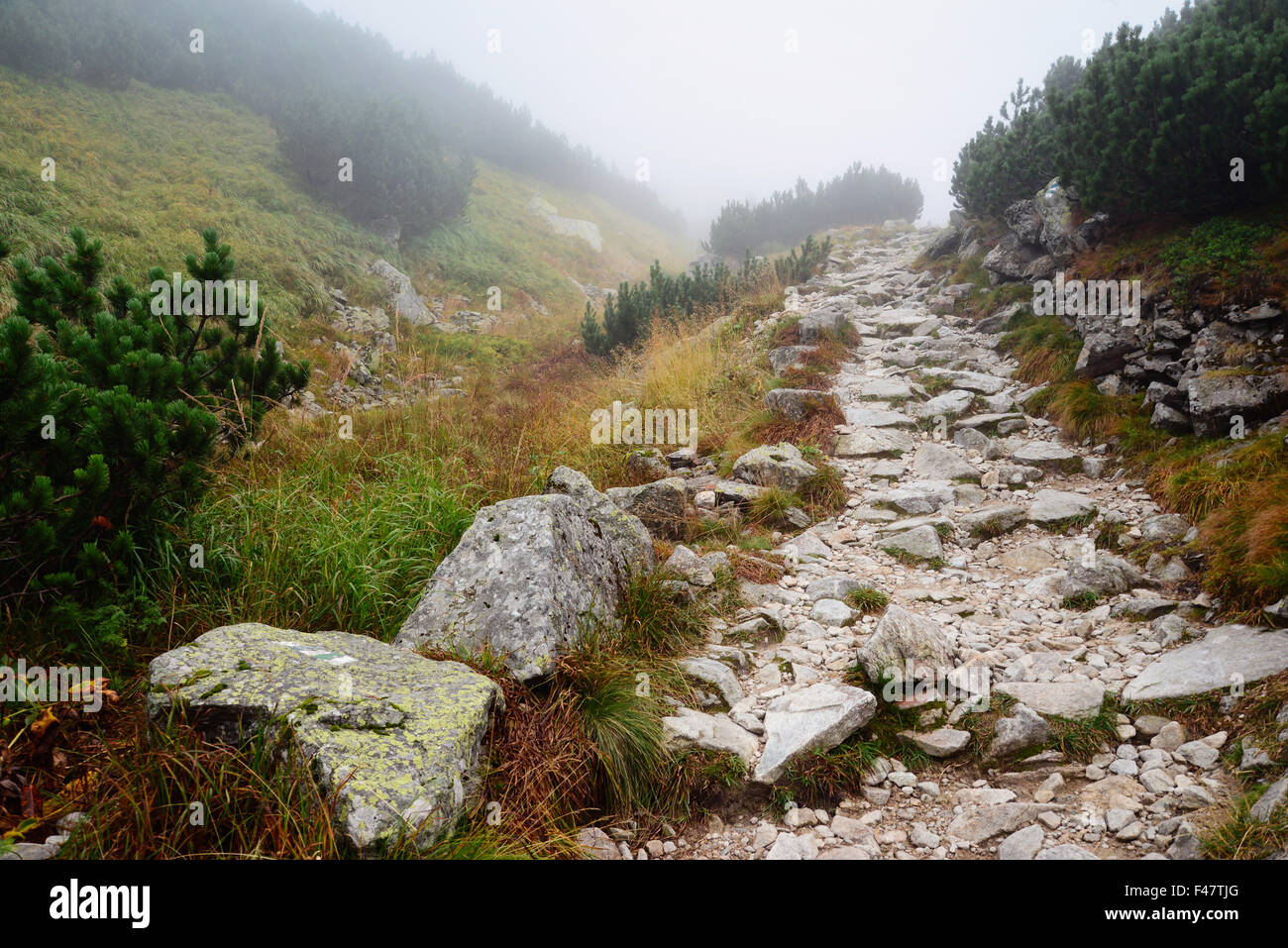 road to Tatra mountains Stock Photo - Alamy