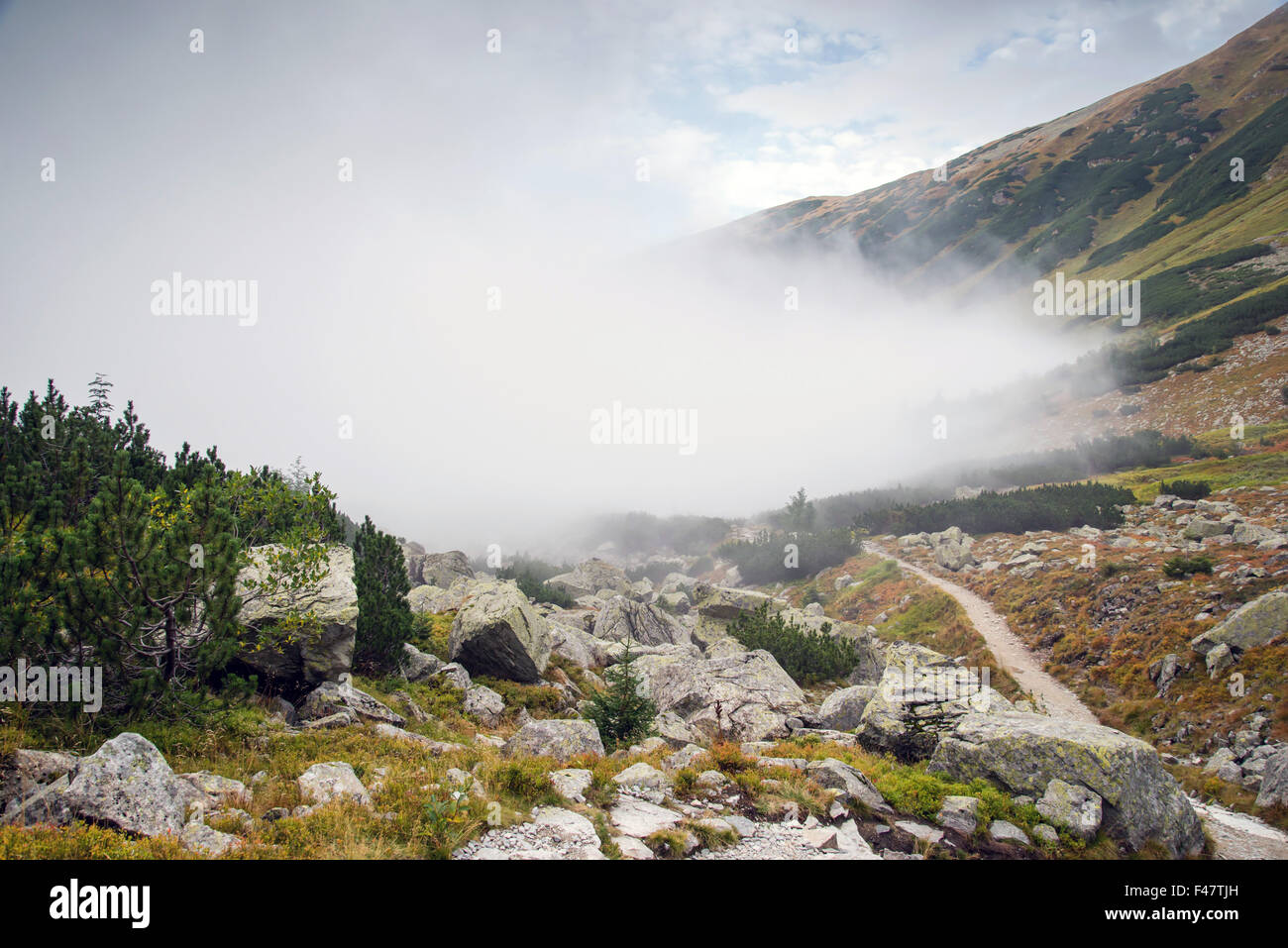road to Tatra mountains Stock Photo - Alamy
