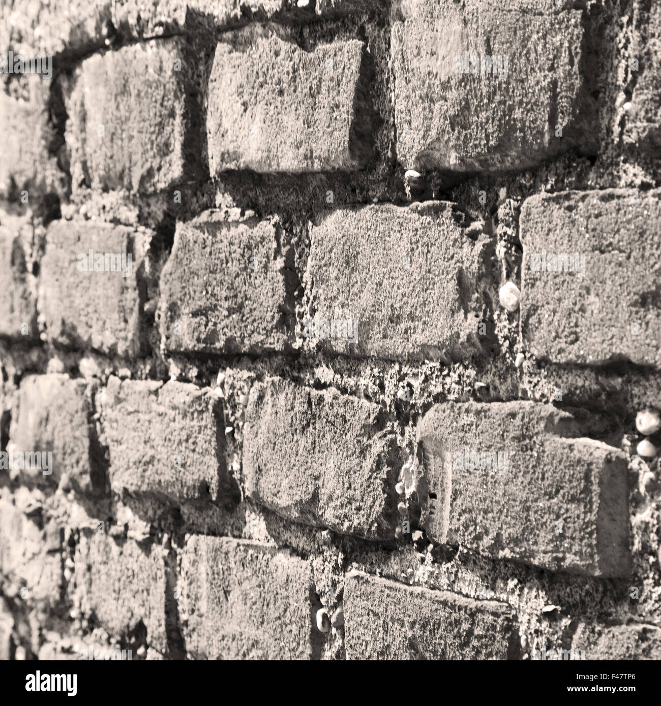 step brick in italy old wall and texture material the background Stock ...