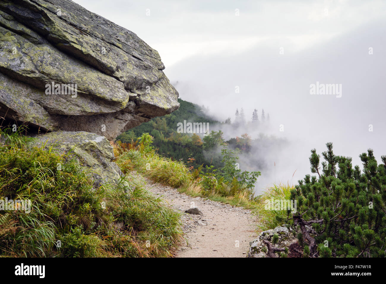 road to Tatra mountains Stock Photo - Alamy