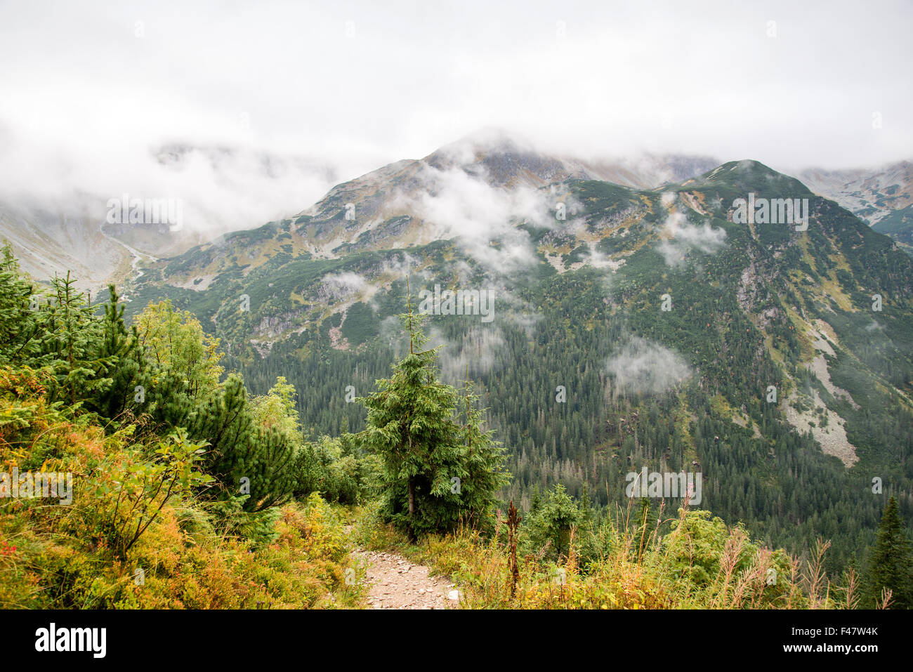 road to Tatra mountains Stock Photo - Alamy