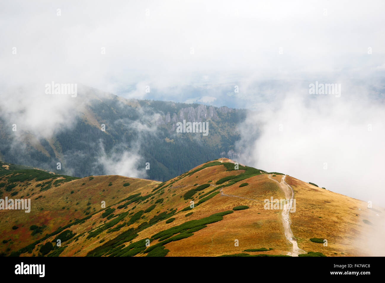 climbing Volovec at Tatra mountains Stock Photo - Alamy