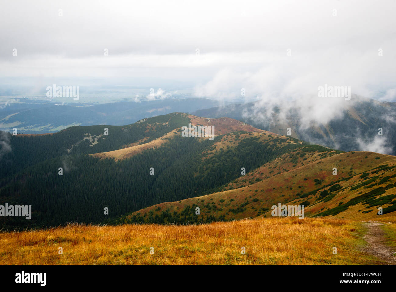 climbing Volovec at Tatra mountains Stock Photo - Alamy