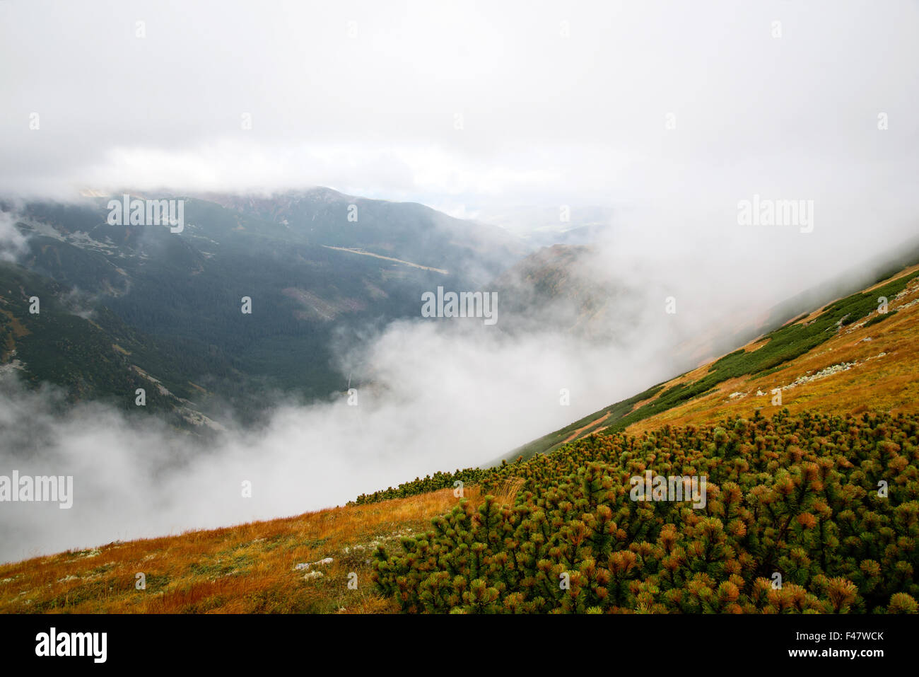 climbing Volovec at Tatra mountains Stock Photo - Alamy
