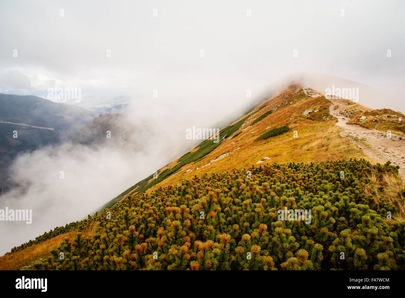 climbing Volovec at Tatra mountains Stock Photo - Alamy