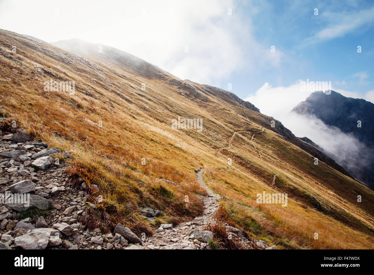 climbing Volovec at Tatra mountains Stock Photo - Alamy