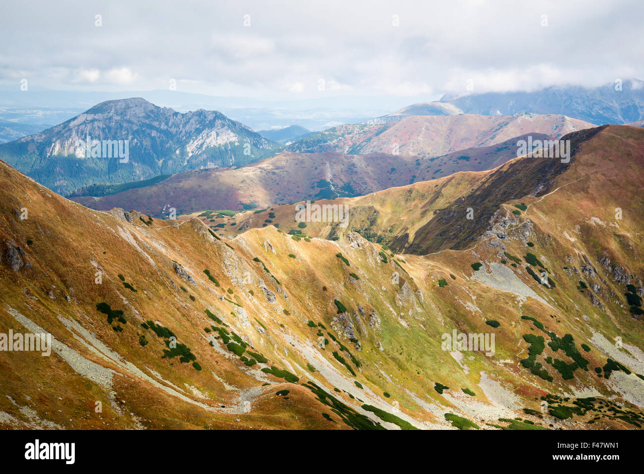 Ostry rohac hi-res stock photography and images - Alamy