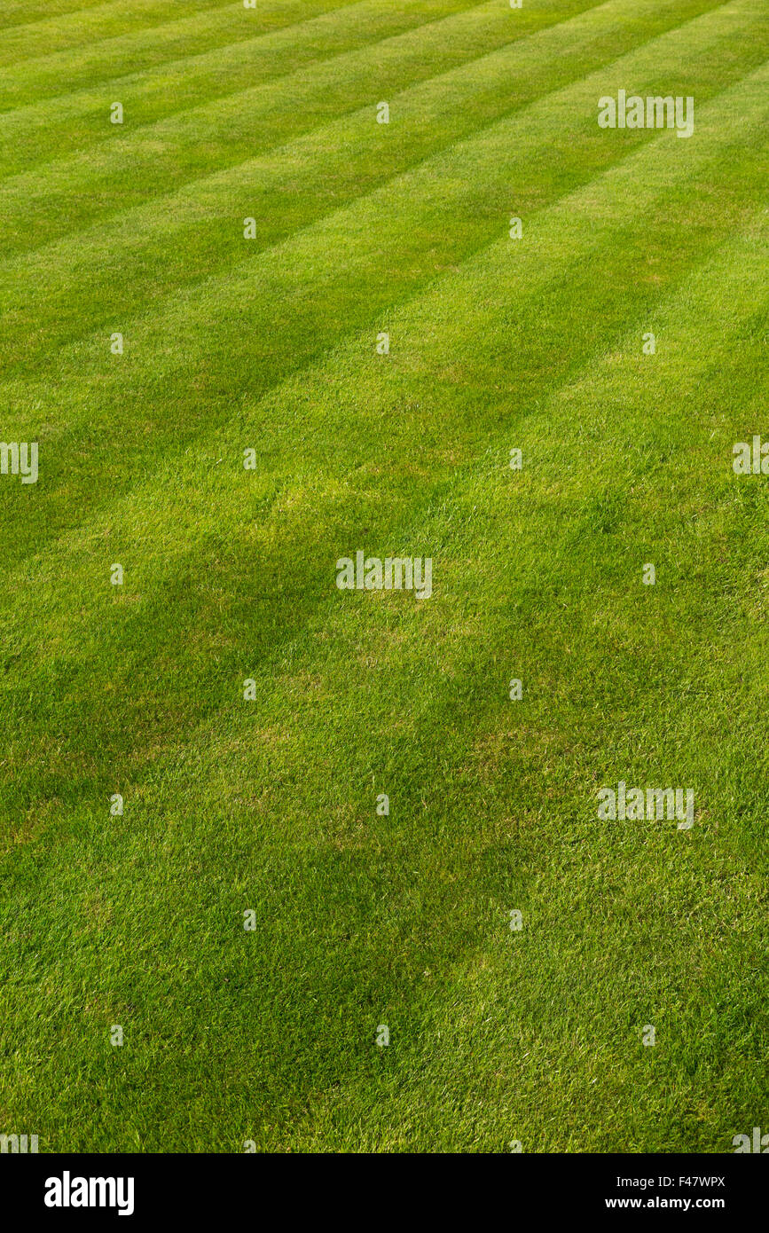Lawn stripes hi-res stock photography and images - Alamy